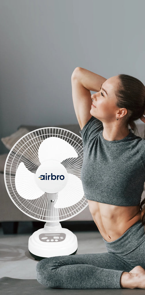 FSA-12 Airbro Solar Rechargeable 12in Fan with Additional Lights — M&M ...